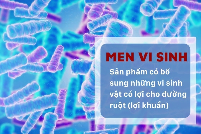 Phân biệt men vi sinh và men tiêu hoá: Bản chất, công dụng và cách dùng